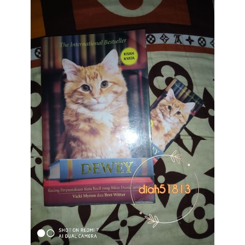 Jual Buku Dewey - Vicki Myron dan Bret Witter (Preloved) | Shopee Indonesia