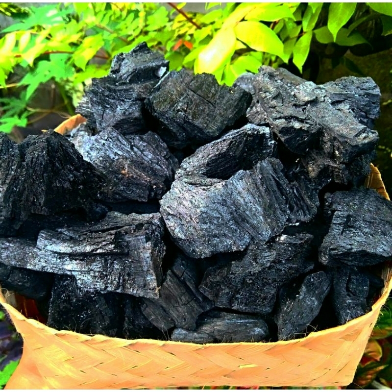 Jual ARANG KAYU / ARANG MEDIA TANAM / ARANG BAKAR | Shopee Indonesia