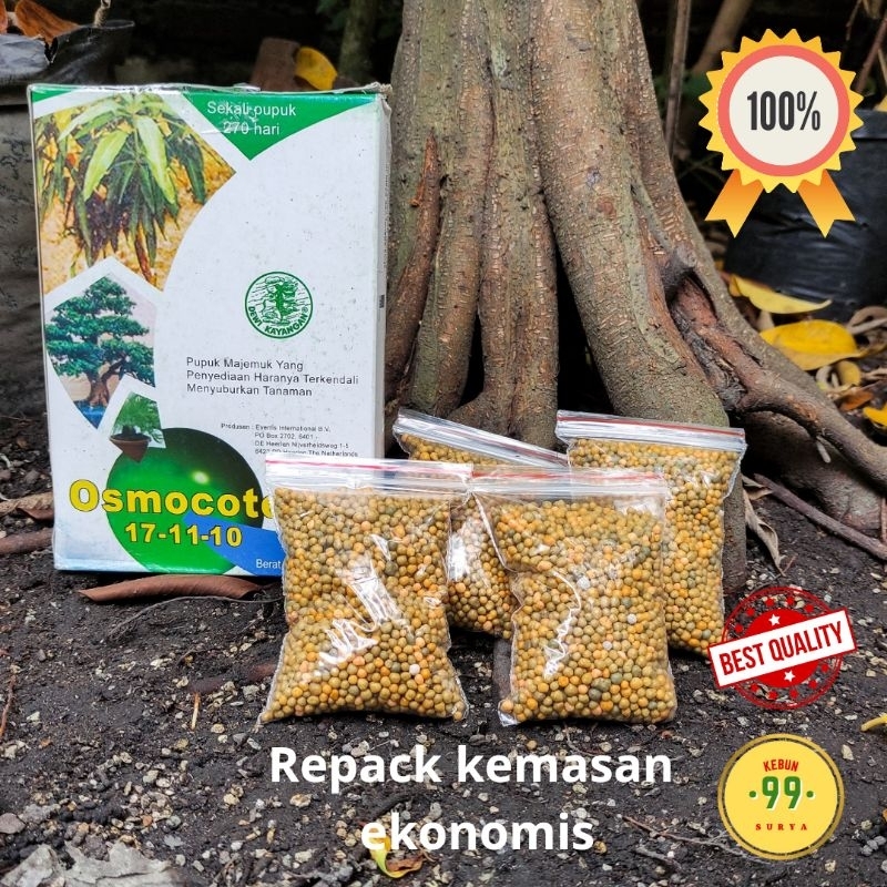 Jual Pupuk Dekastar Repack 17-11-10: Solusi Ampuh untuk Pertumbuhan ...