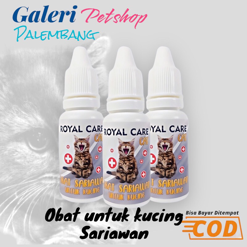 Jual Obat Kucing Royal Care Sariawan 10ml | Shopee Indonesia