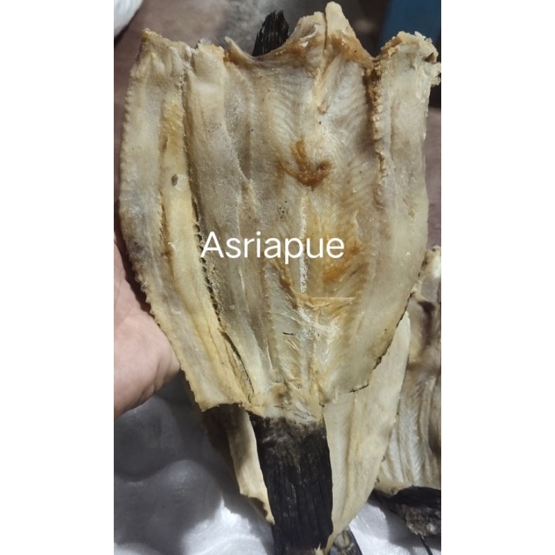 Jual 500 GRAM IKAN ASIN GABUS / RUAN / HARUAN KERING | Shopee Indonesia