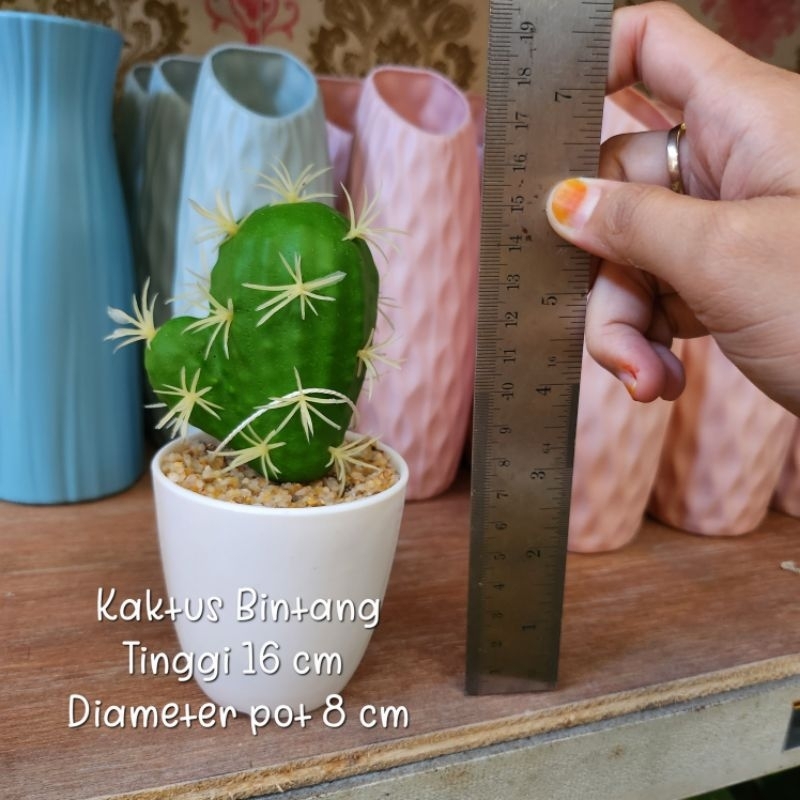 Jual Kaktus Mini Pot Goni / Bunga Sukulen Artificial / Bunga Plastik ...
