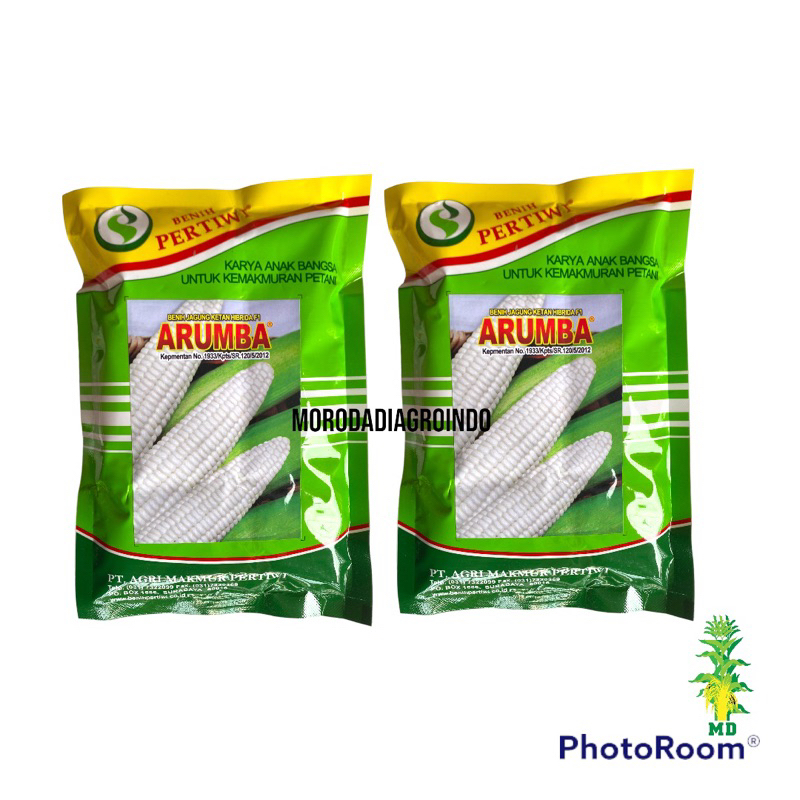 Jual Benih jagung ketan/pulut hibrida F1 Arumba pertiwi 250 gram ...