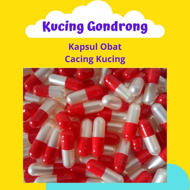 Jual Obat Cacing Kucing 1 TABLET (ORIGINAL) | Shopee Indonesia