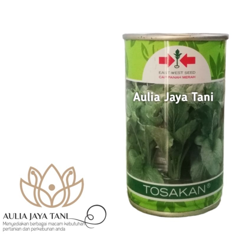 Jual Benih Sayur Sawi Kaleng TOSAKAN Isi 100 Gram Cap Panah Merah ...