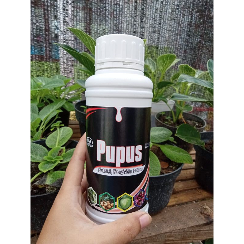Jual Pupuk Penyubur Perangsang dan Pelebat Buah/ semua jenis tanaman - Pupuk pupus | Shopee ...