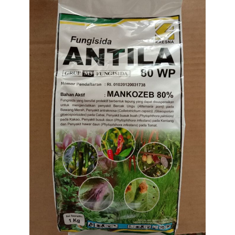Jual FUNGISIDA ANTILA 80WP | Shopee Indonesia