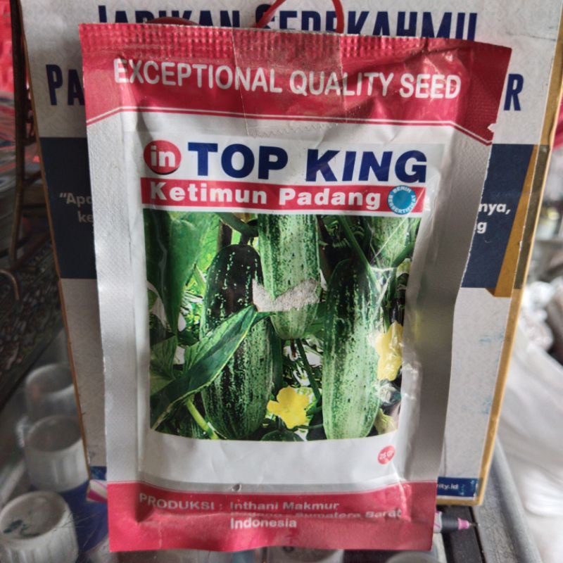 Jual BENIH KETIMUN PADANG / TIMUN PADANG | Shopee Indonesia
