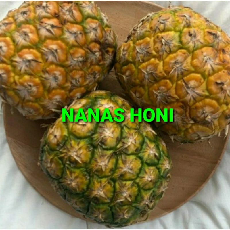 Jual NANAS HONI KHUSUS PARA SULTAN 1 KG (PREMIUM QUALITY) | Shopee Indonesia