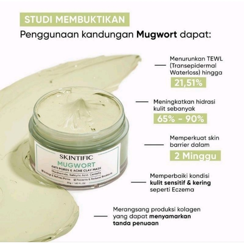 Jual SKINTIFIC MUGWORT Acne clay mask (kotak besar ijo) | Shopee Indonesia