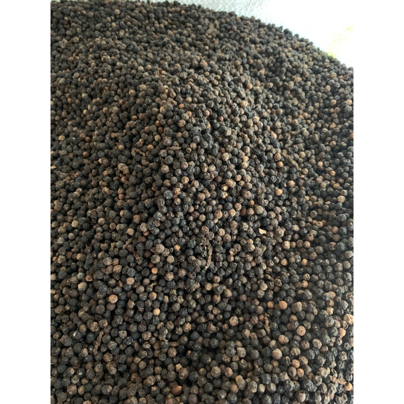 Jual Lada hitam murah 10kg | Shopee Indonesia