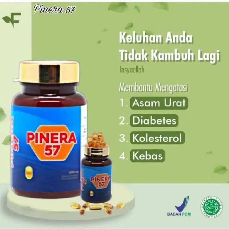 Jual 2 Box PINERA 57 PINUS MERAH ASLI OBAT KOLESTROL, HIPERTENSI ...