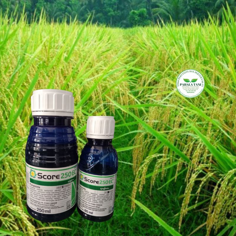 Jual Score 250EC/fungisida/busuk daun/penyakit blas/potong leher/hama ...