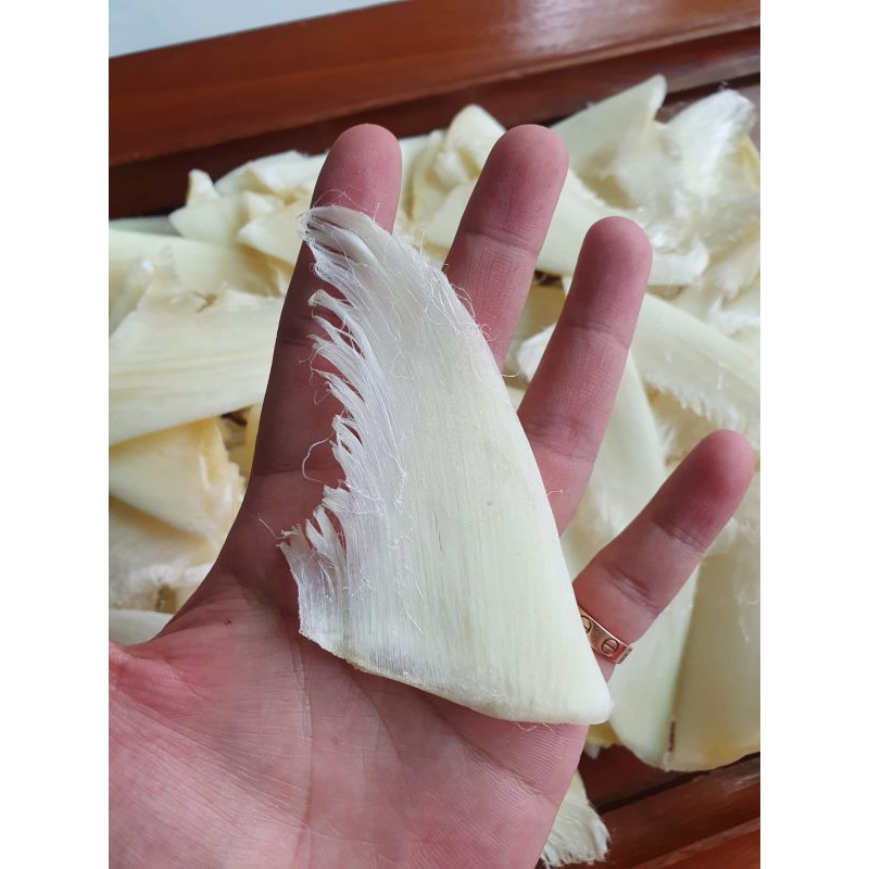 Jual Hisit Utuh Kering / Shark Fin / Sirip Ikan Hiu 100 gr | Shopee ...