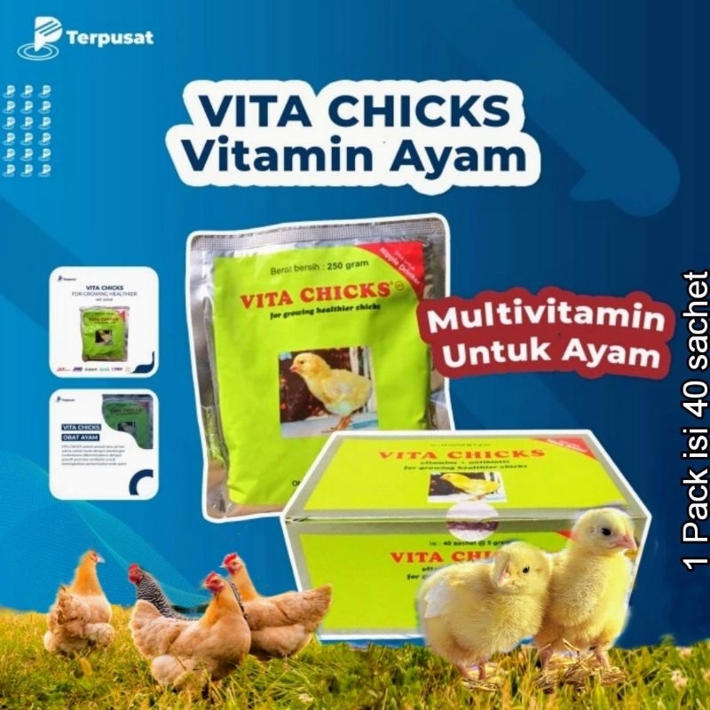 Jual Vita Chicks Per 1 Pack isi 40 Sachet @5 gram Obat Ayam Vitamin ...