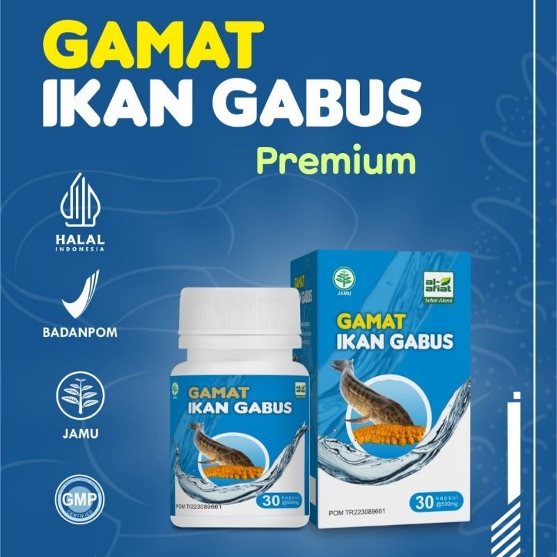Jual Kapsul Gamat Emas Plus Ikan Gabus Premium Obat Diabetes dan Pasca ...