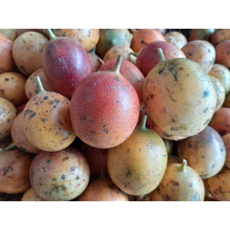 Jual Markisa Madu Bali 1 kg Manis | Shopee Indonesia