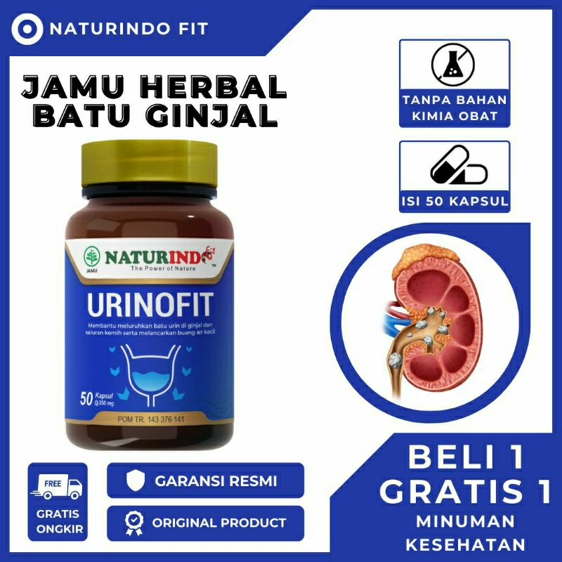 Jual Obat Batu Ginjal Herbal Obat Infeksi Saluran Kencing Kemih Gangguan Ginjal Pelancar Saluran ...