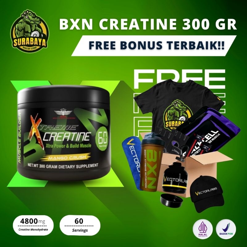 Jual BXN Xtreme Creatine 300 Gram Creatine Monohydrate | Shopee Indonesia