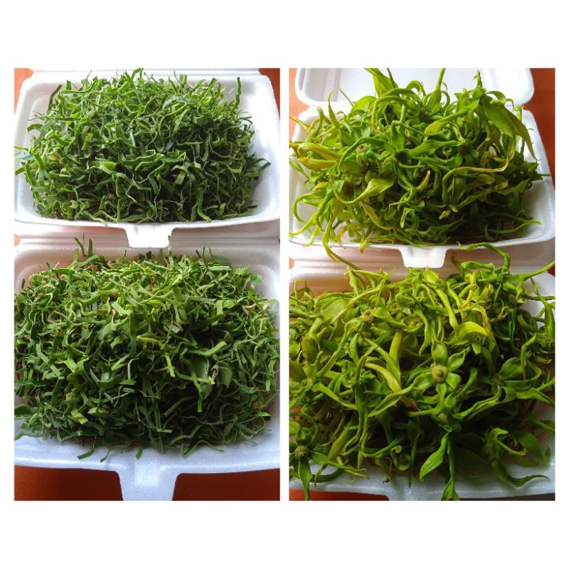 Jual Bunga Kenanga ,Daun Pandan iris Kembang tabur Makam /ziarah segar ...