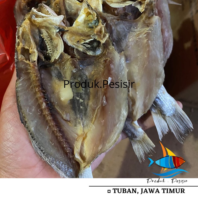 Jual Ikan Kepala Batu Asin/ Gulama/ Tetet/ Samge | Shopee Indonesia