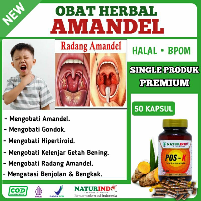 Jual OBAT HERBAL AMANDEL UNTUK DEWASA ANAK KELENJAR TIROID DI LEHER PALING AMPUH NATURINDO POS-K ...