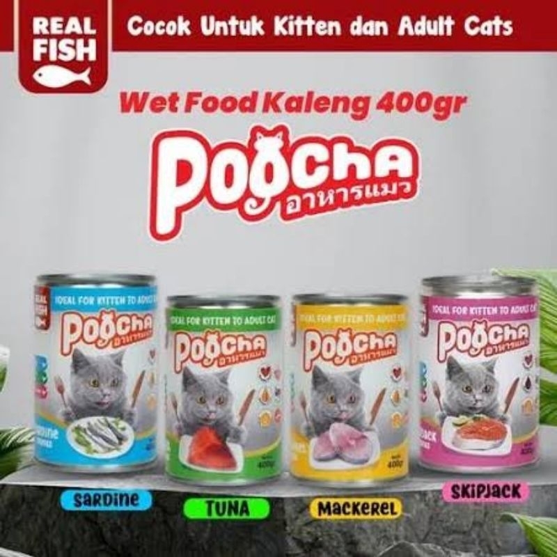 Jual POOCHA KALENG 400G | Shopee Indonesia