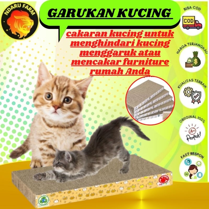 Jual Mainan Kucing Papan Garukan Motif Tikus Scratcher Board Cat ...