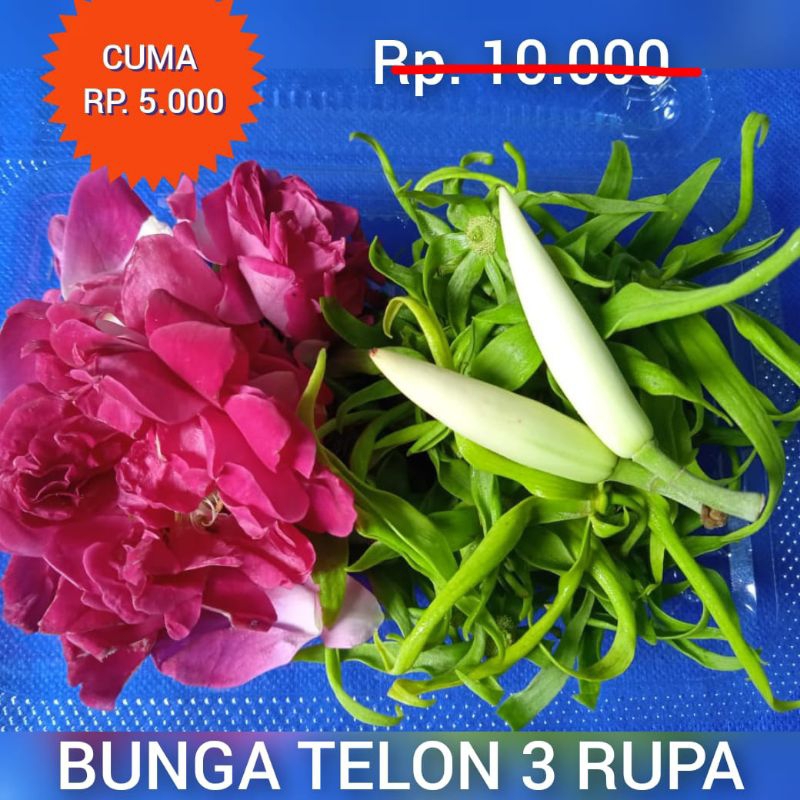 Jual Bunga 7 rupa , Bunga 5 rupa , Bunga 3 rupa , bunga Telon fresh dan ...