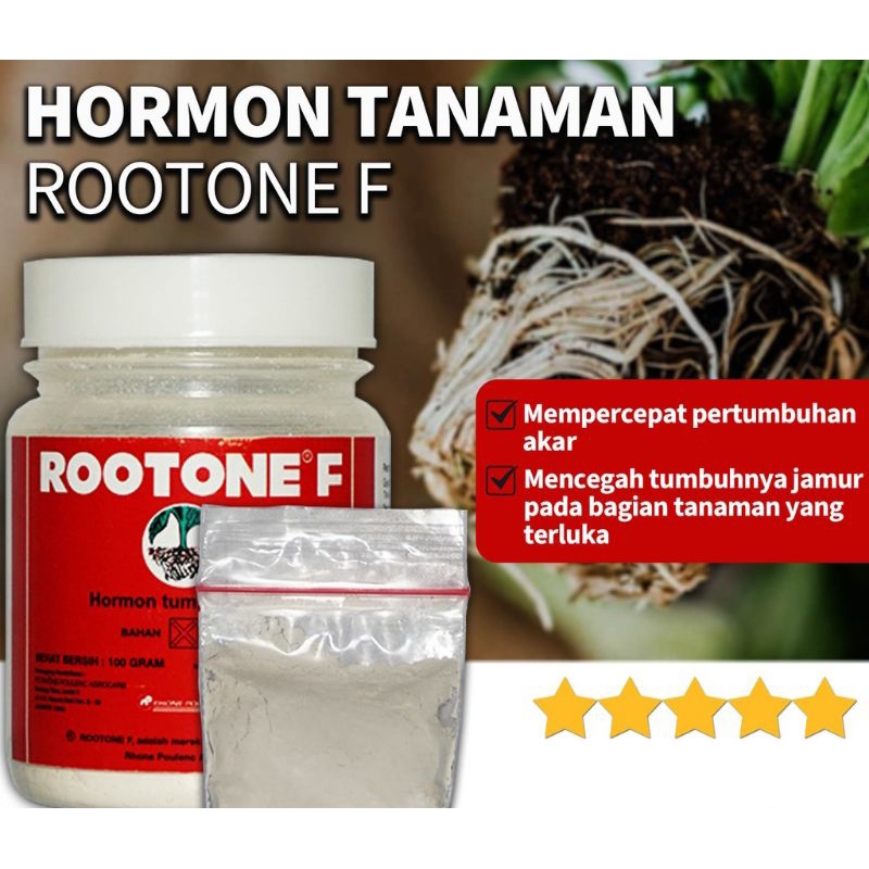 Jual ROOTONE F penumbuh akar dan menghindari dari jamur bekas sayatan ...