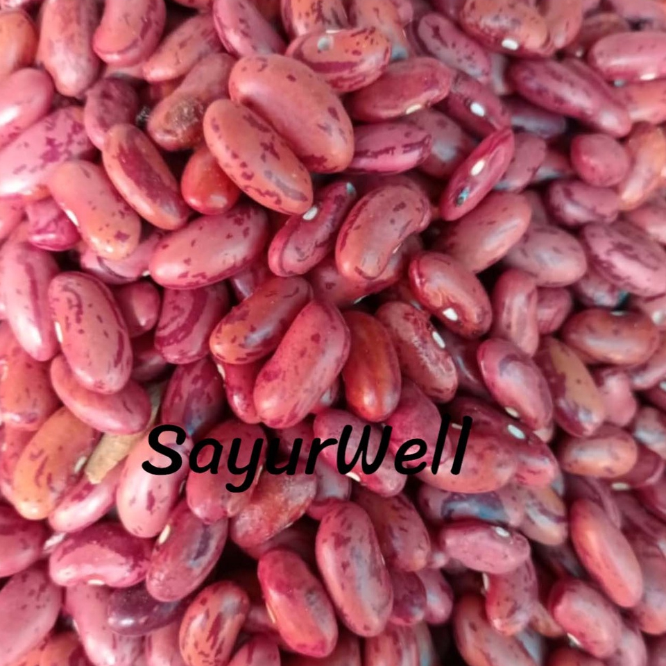 Jual Kacang Merah Kacang Sayur 250Gr , 500Gr | Shopee Indonesia