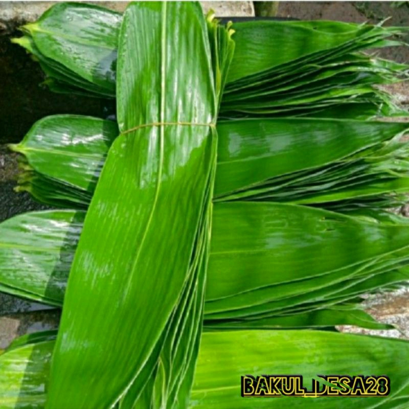 Jual Daun Bambu Bakcang 100 Lembar Daun Bambu Segar Bungkus Bacang ...