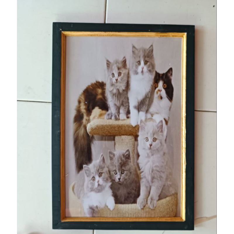 Jual hiasan dinding cetak kucing lucu plus bingkai real pict ukuran 65* ...