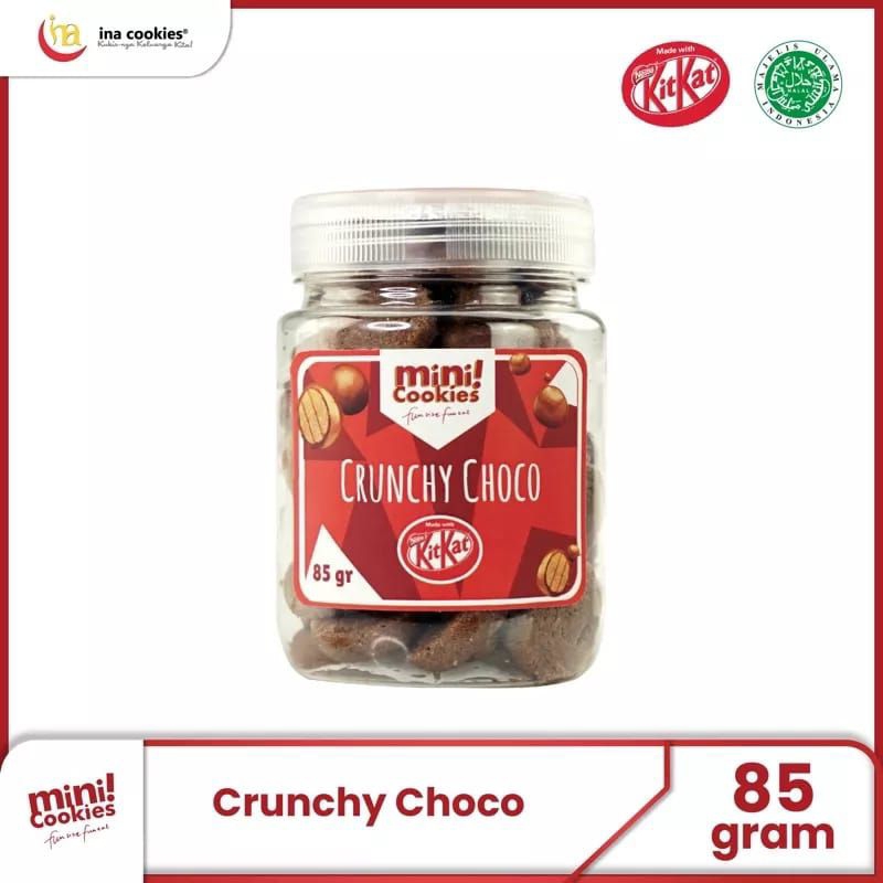 Jual Ina Cookies Mini Cookies Crunchy Choco | Shopee Indonesia