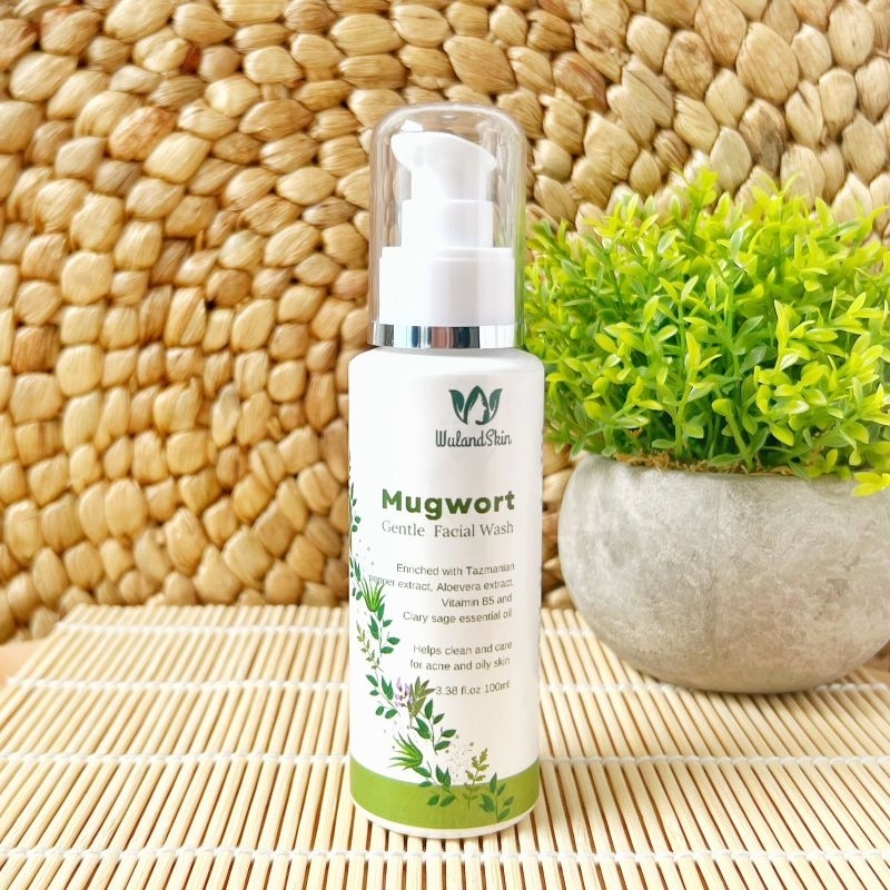 Jual Mugwort Gentle Facial Wash Non SLS by Wuland Skincare WulandSkin Non SLS | Shopee Indonesia