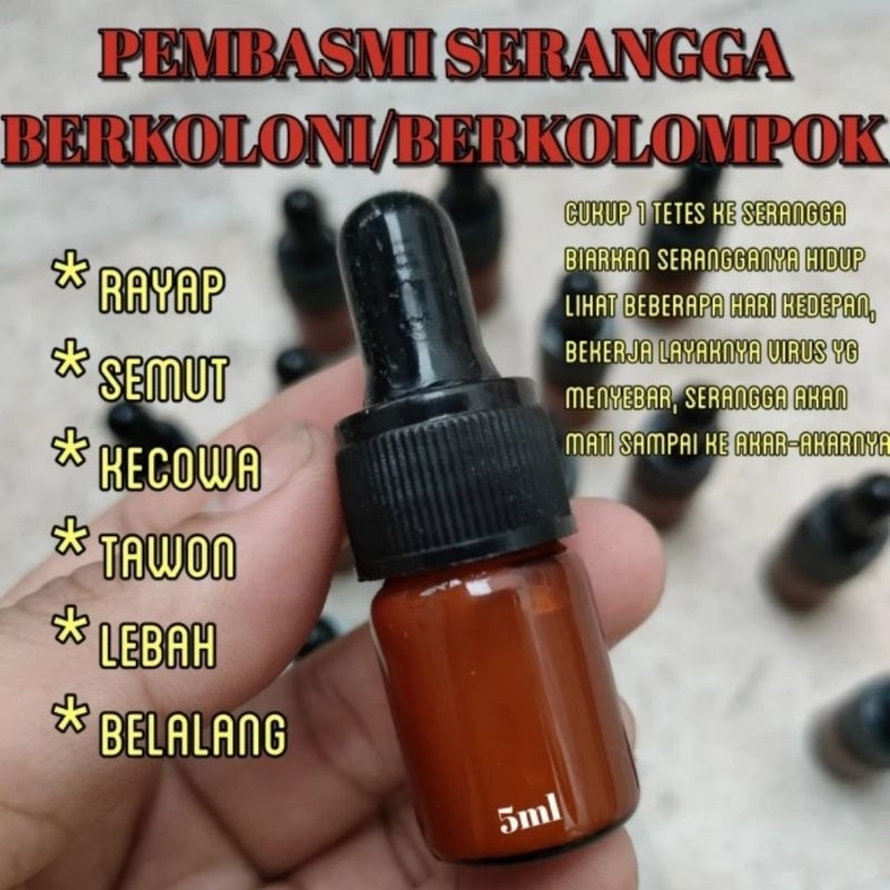 Jual insektisida obat racun umpan pembasmi semut rayap kecowa tawon ...