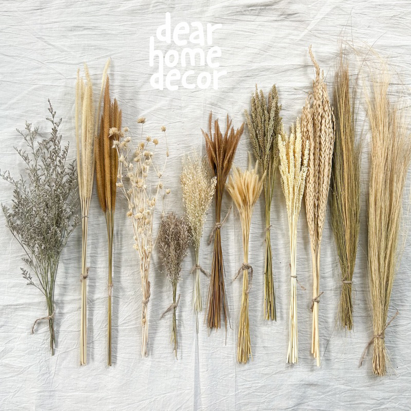 Jual bunga kering jual per ikat | Shopee Indonesia