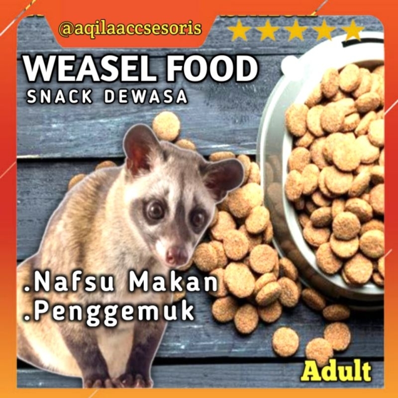 Jual WEASEL FOOD SNACK / Makanan Musang Dewasa / Makanan Musang GEMUK ...