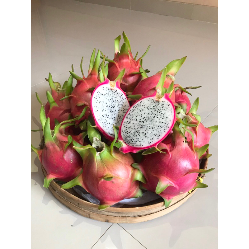 Jual (1KG) BUAH NAGA PUTIH ORGANIK FRESH PER KG / BUAH NAGA PUTIH MURAH ...