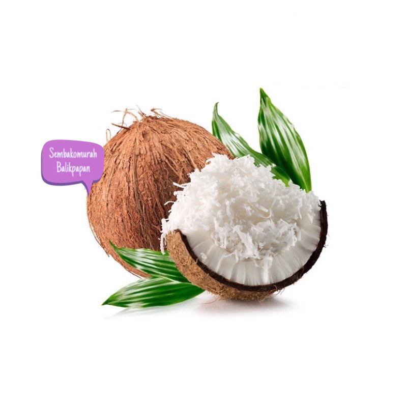 Jual Kelapa Parut - 1 Buah Utuh / Kelapa Santan / Kelapa Urap / Kelapa Segar (naik) | Shopee ...