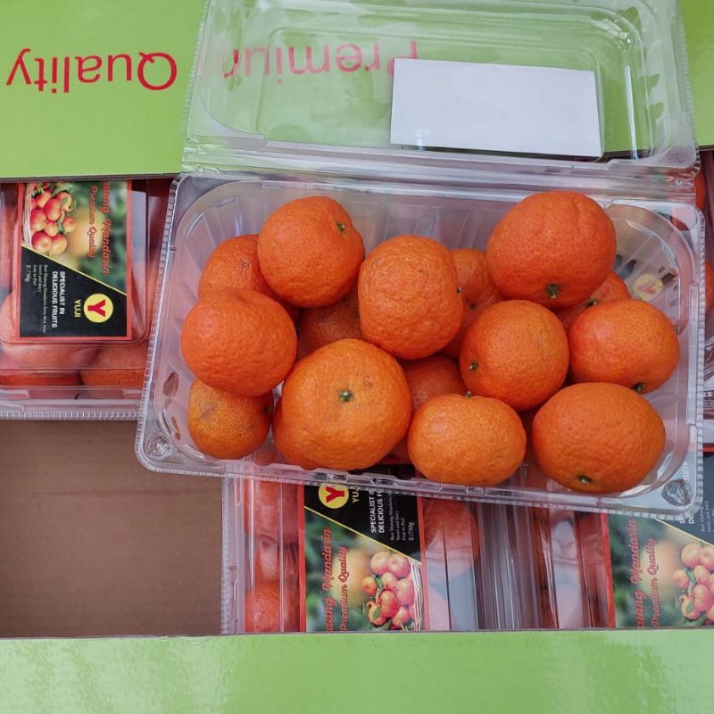 Jual Buah Jeruk Shatang Mandarin Shantang Santang Pack - Manis Tanpa ...
