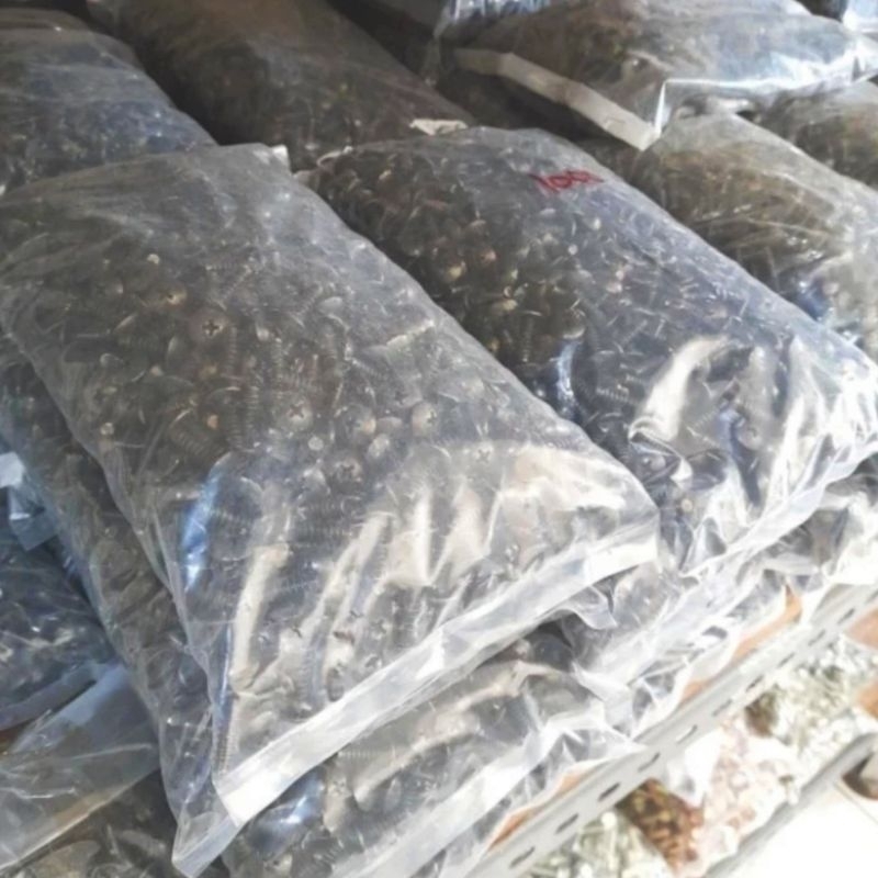 Jual Paket 1000pcs Skrup Sekrup Baut Ulir Body Yamaha 5x16 | Shopee ...