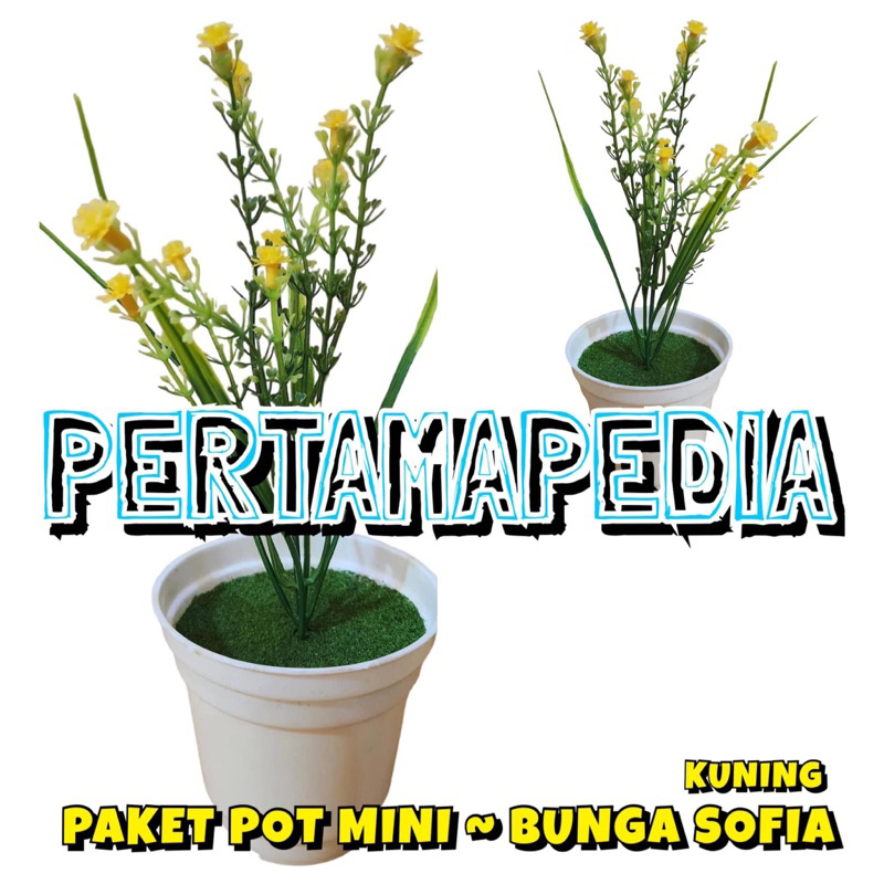 Jual Paket Pot Mini Bunga Sofia/ Bunga Plastik/ Daun Plastik/ Rumput ...