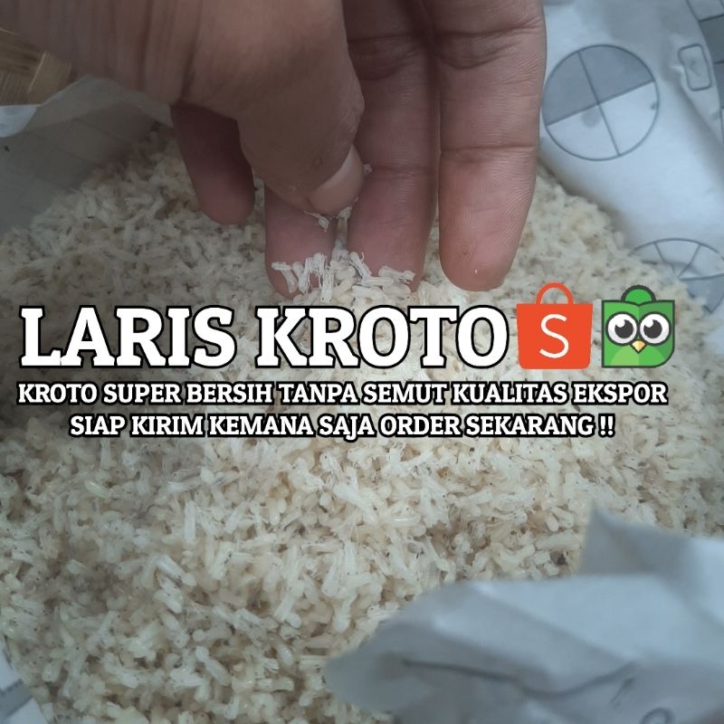 Jual KROTO SUPER BERSIH TANPA SEMUT 50.GRAM | KROTO BADUY SUPER SEGAR ...