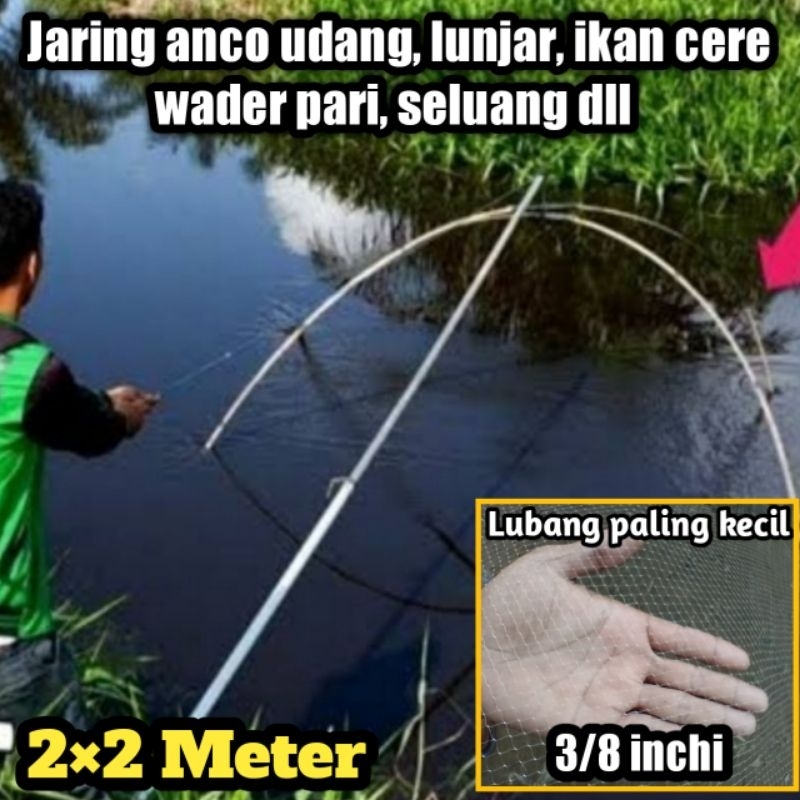Jual Jaring anco 3/8 inchi untuk ikan kecil & udang 2×2 meter | Shopee ...