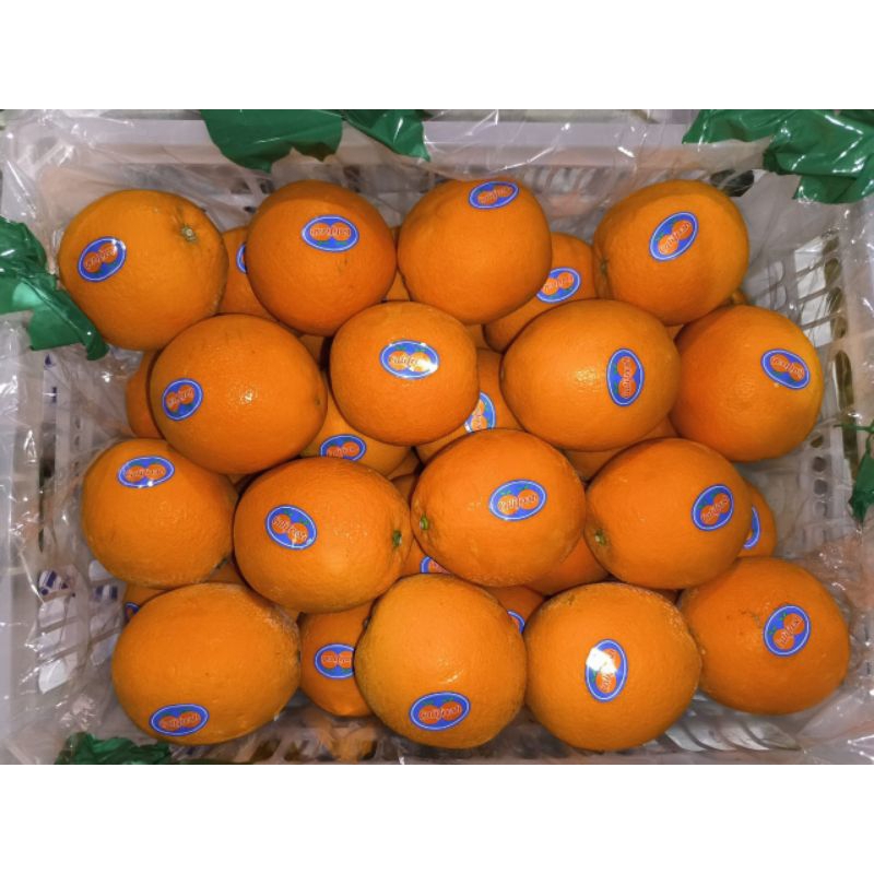 Jual Jeruk Navel Fresh Import | Shopee Indonesia
