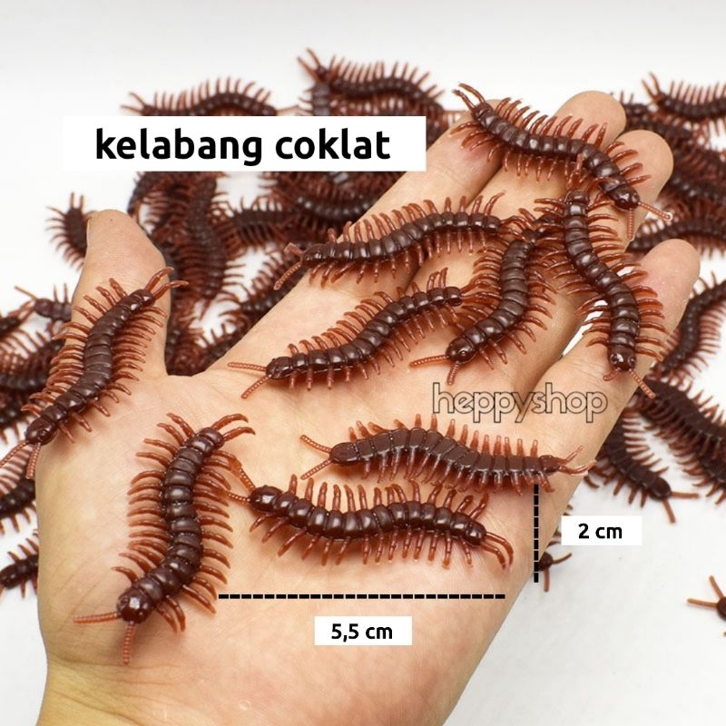 Jual Mainan Kecoa Kelabang Kalajengking Cicak Palsu | Shopee Indonesia