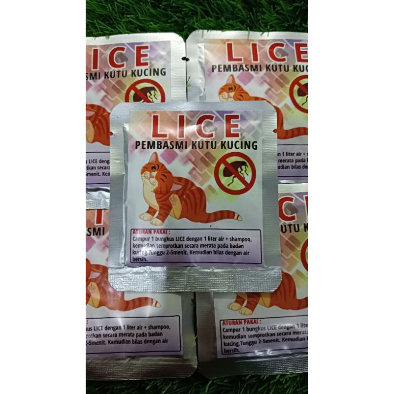 Jual LICE SERBUK OBAT KUTU KUCING | Shopee Indonesia