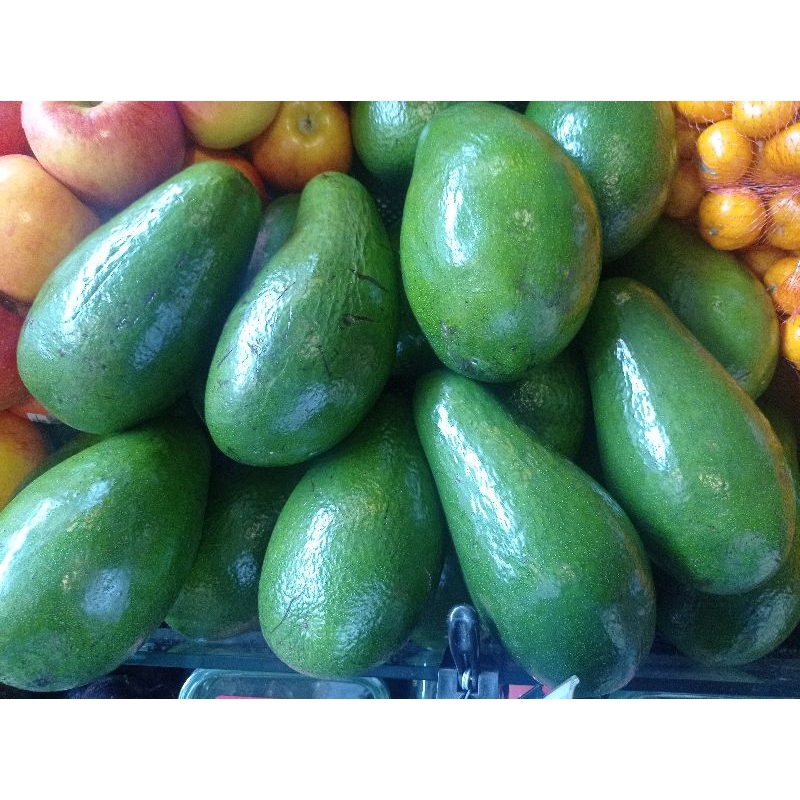 Jual Alpukat Pangeran Jumbo 1.5 kg | Shopee Indonesia
