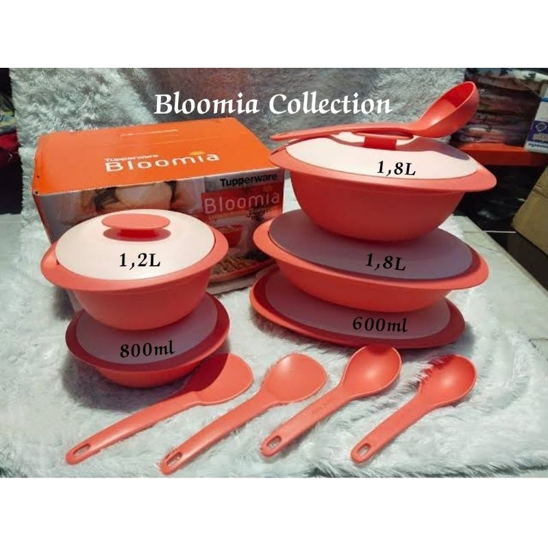 Jual Bloomia Collection(5 pcs) | Shopee Indonesia